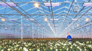 Greenpower LED toplighting system | Philips lighting